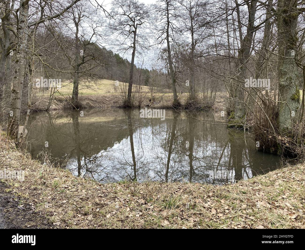 A view of the small lake among leafless trees in the forest Stock Photo ...