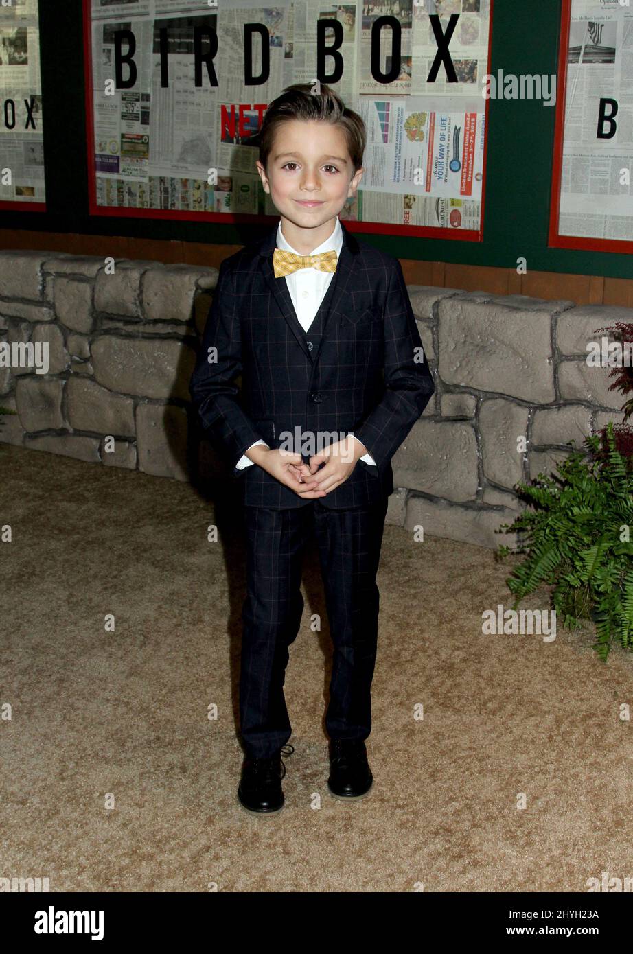 Julian Edwards attending 'Bird Box' New York Special Screening held at ...