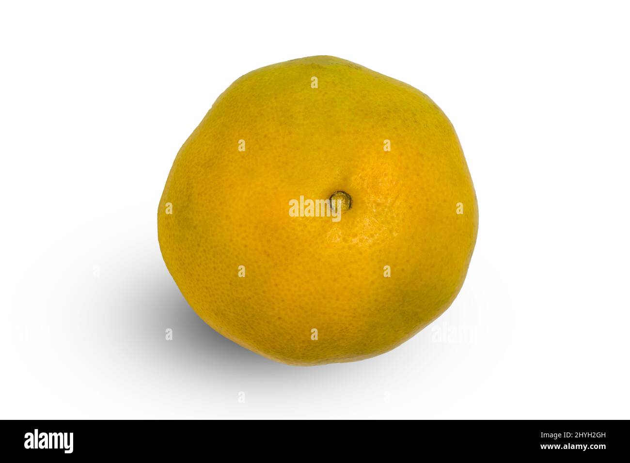 Oranges fruit with yellowish-green skin and bright yellow flesh are the ...