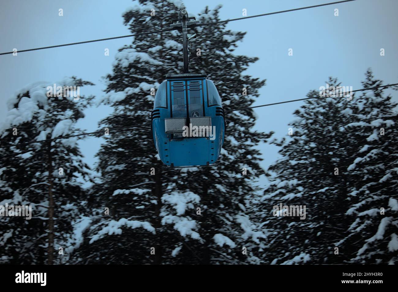 A blue cabin on the ropeway against trees covered in snow Stock Photo ...