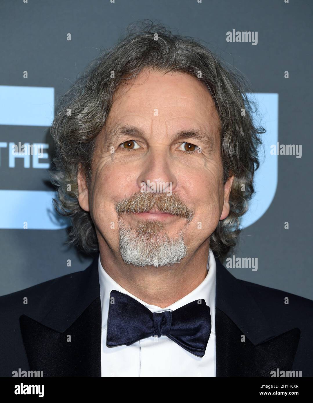 Peter Farrelly at the 24th Annual Critics' Choice Awards held at Barker ...