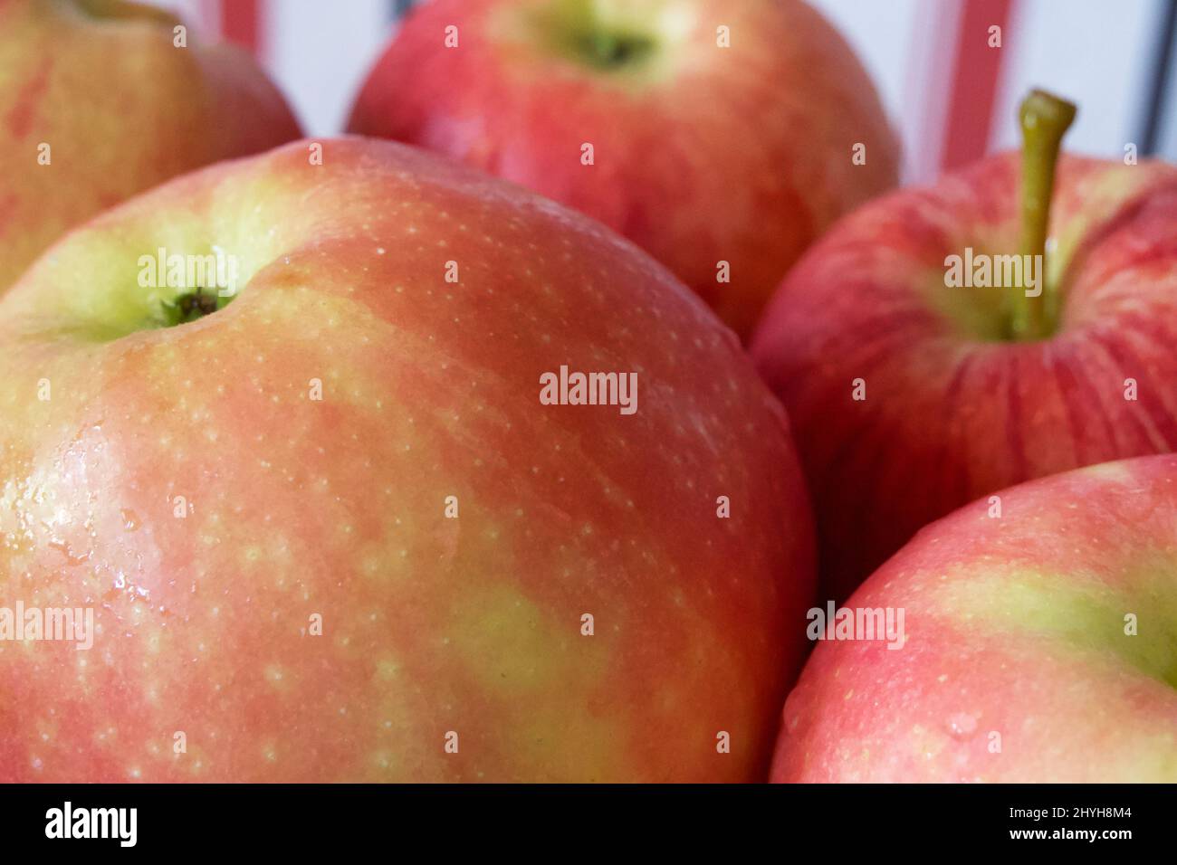 Several apples of the Ligol and gala varieties, a close-up shot Stock ...