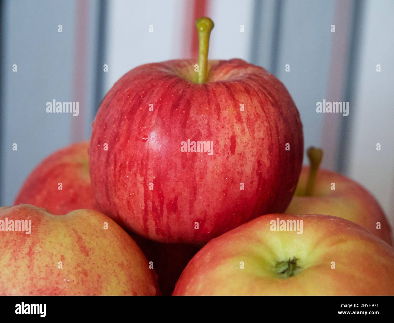 A few ripe striped apples, a close-up shot. Apples of the gala and ...