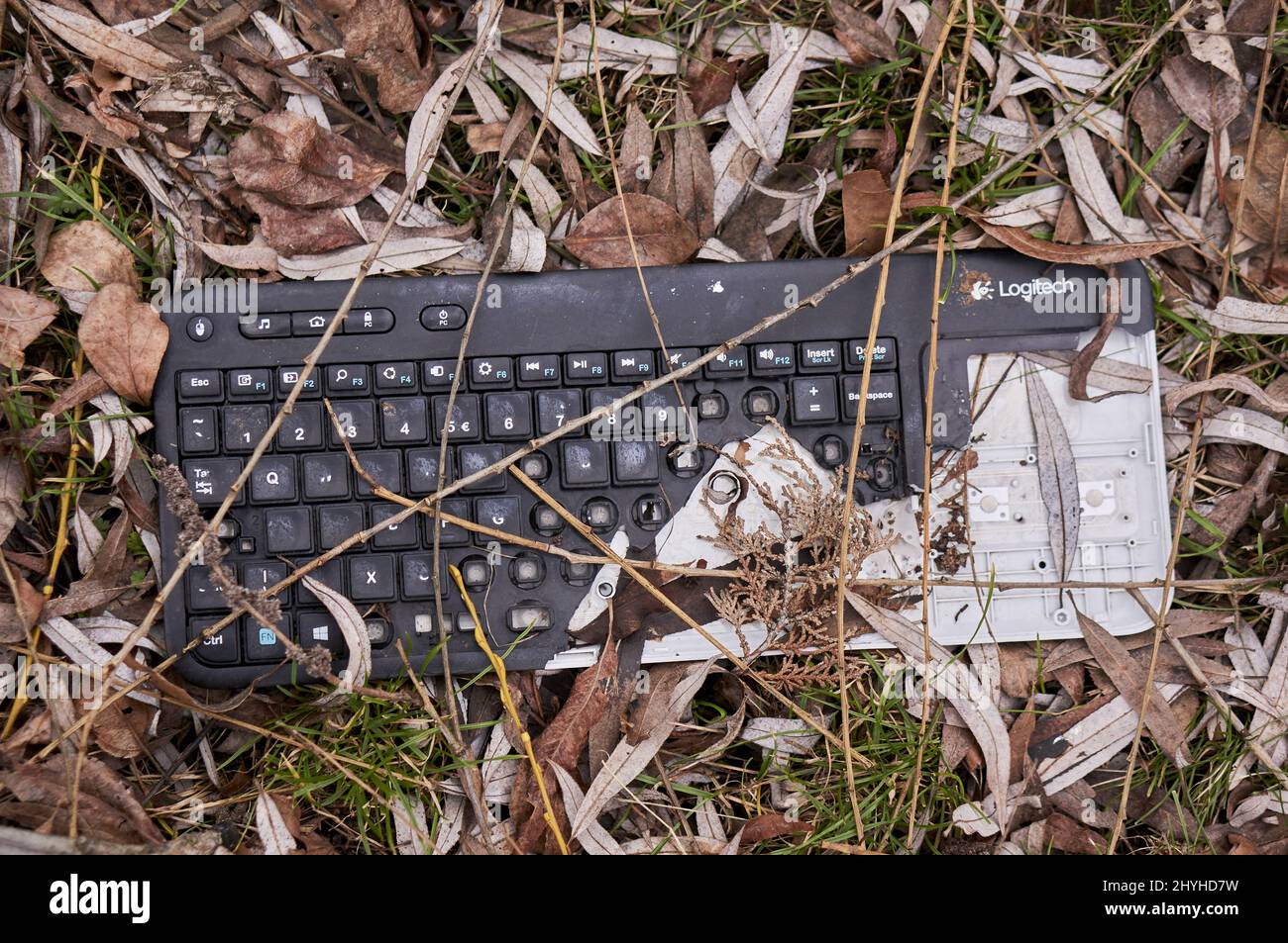 Top view of a broken Logitech brand computer keyboard lying on the ...
