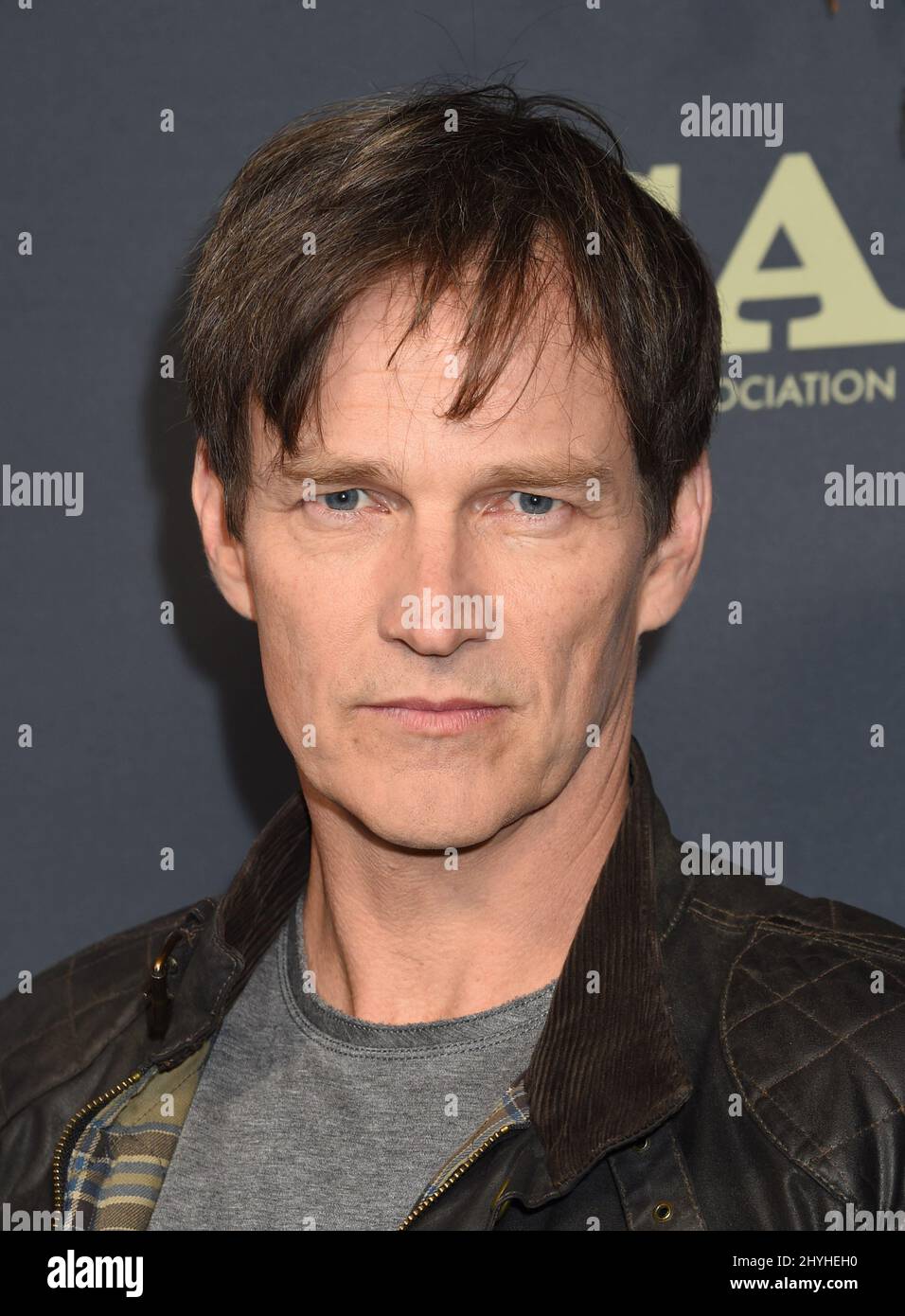 Stephen Moyer at the FOX 2019 Winter TCA Press Tour Party held at The ...