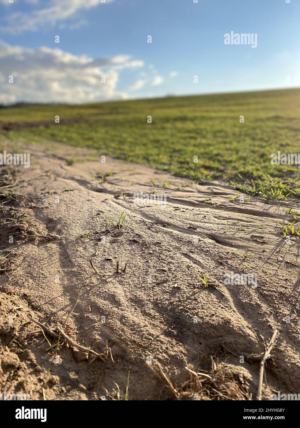 Vertical shot of the soil ground of the field on a fine day Stock Photo ...