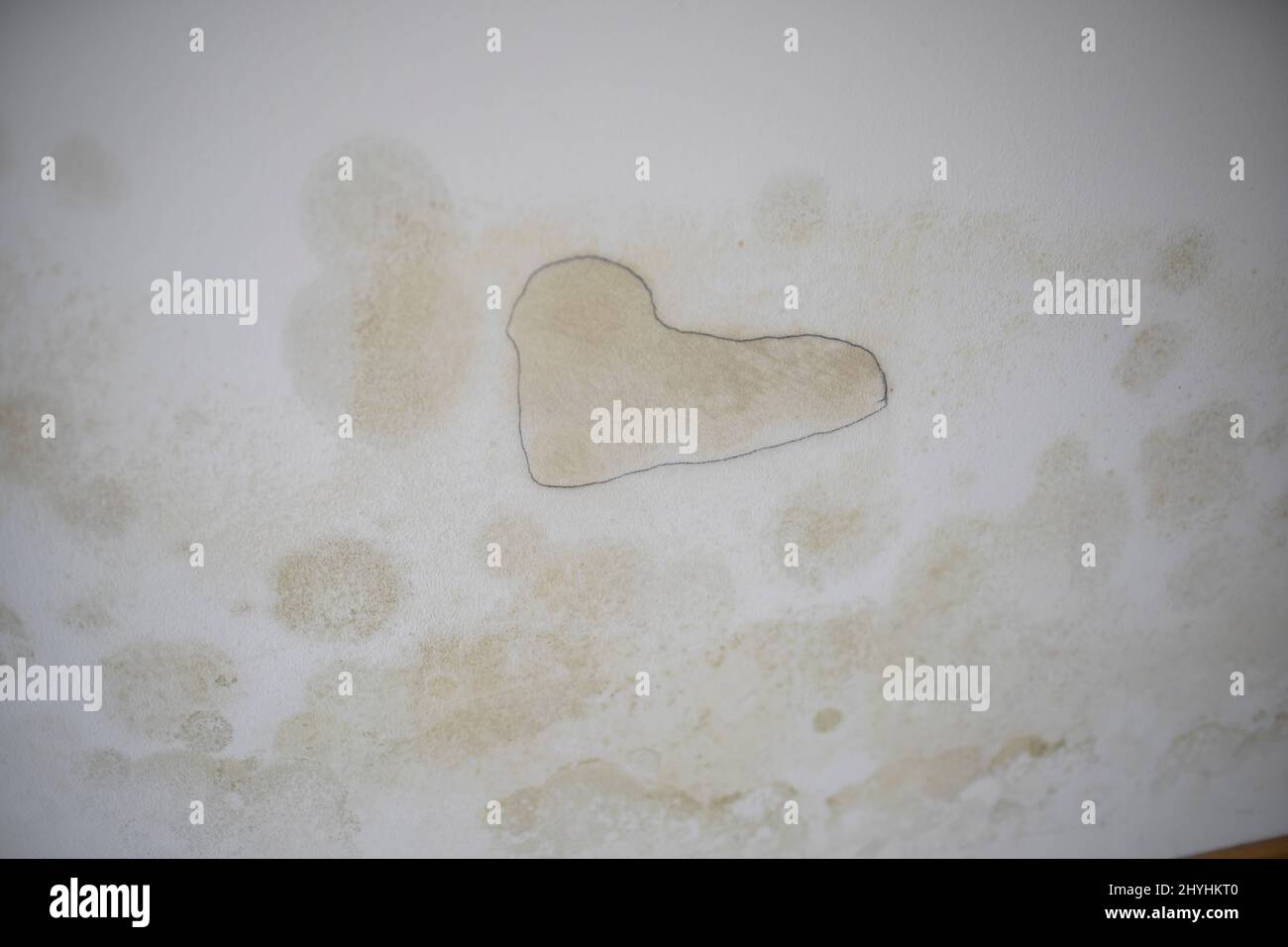 strong mildew in large stains is located on white interior wall in ...