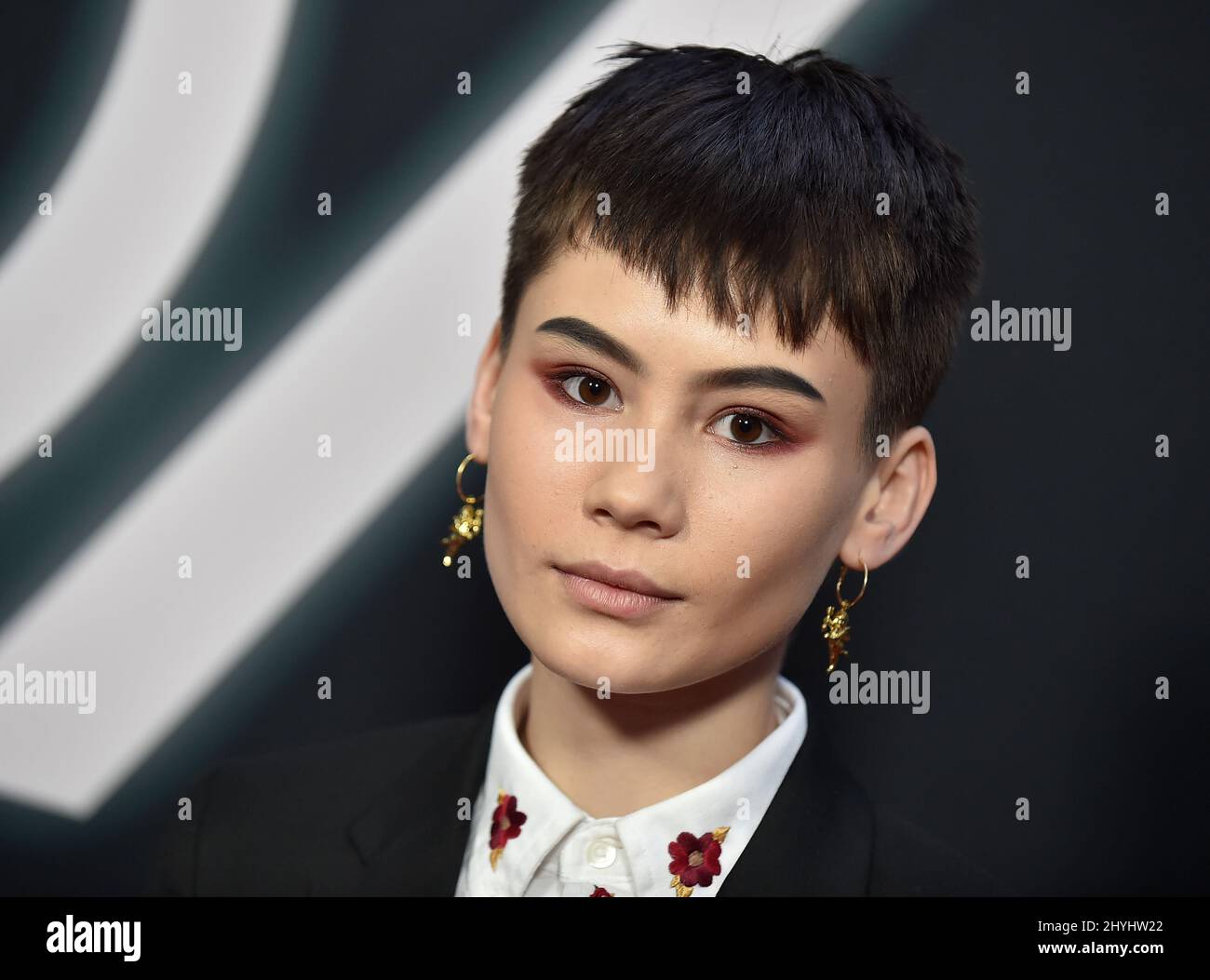 Ian Alexander at Netflix's "The OA Part II" premiere held at LACMA on ...