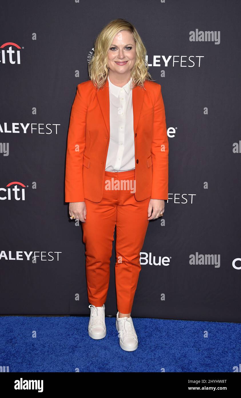 Amy Poehler at NBC's Parks and Recreation 10th Anniversary Reunion ...
