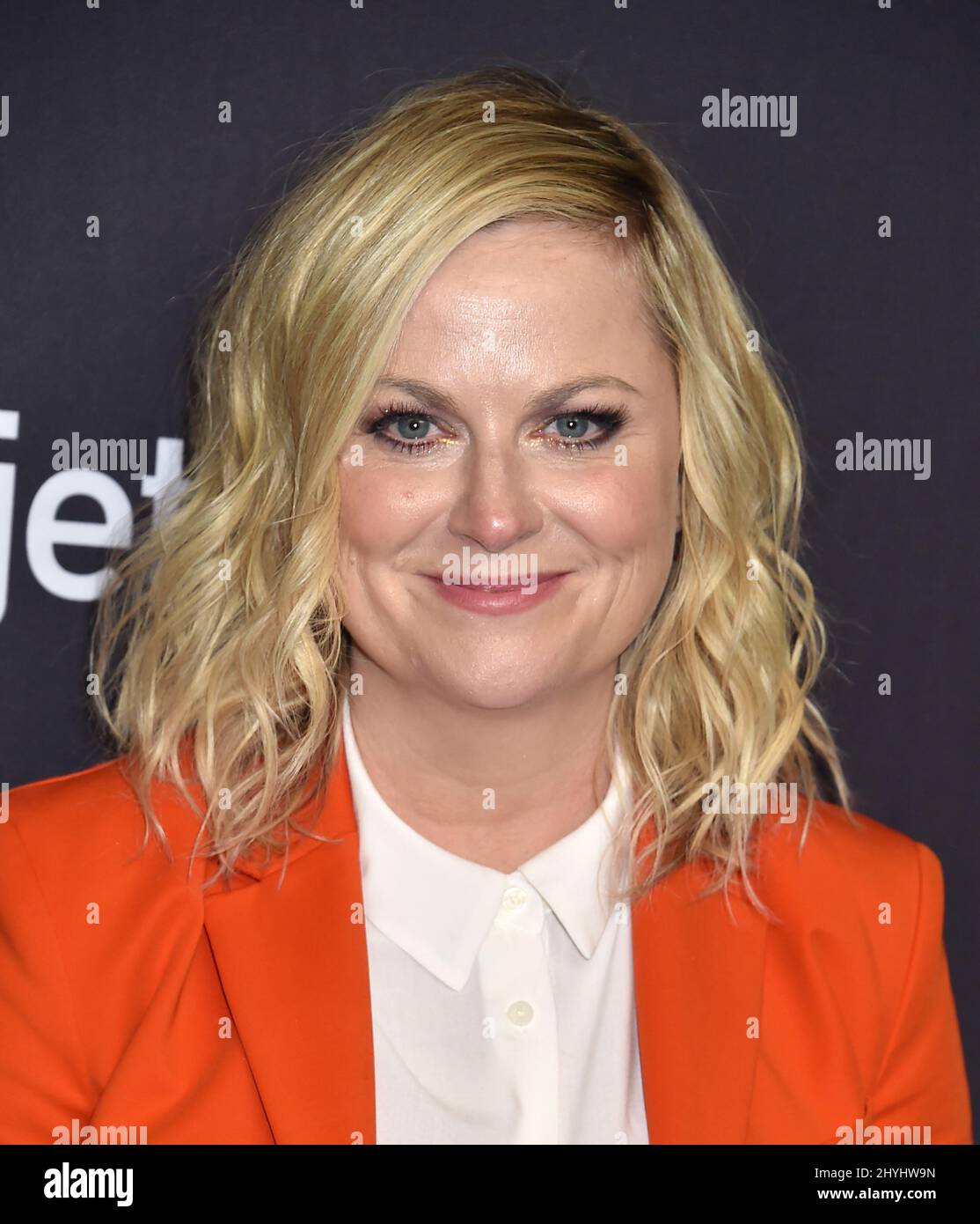 Amy Poehler at NBC's Parks and Recreation 10th Anniversary Reunion ...