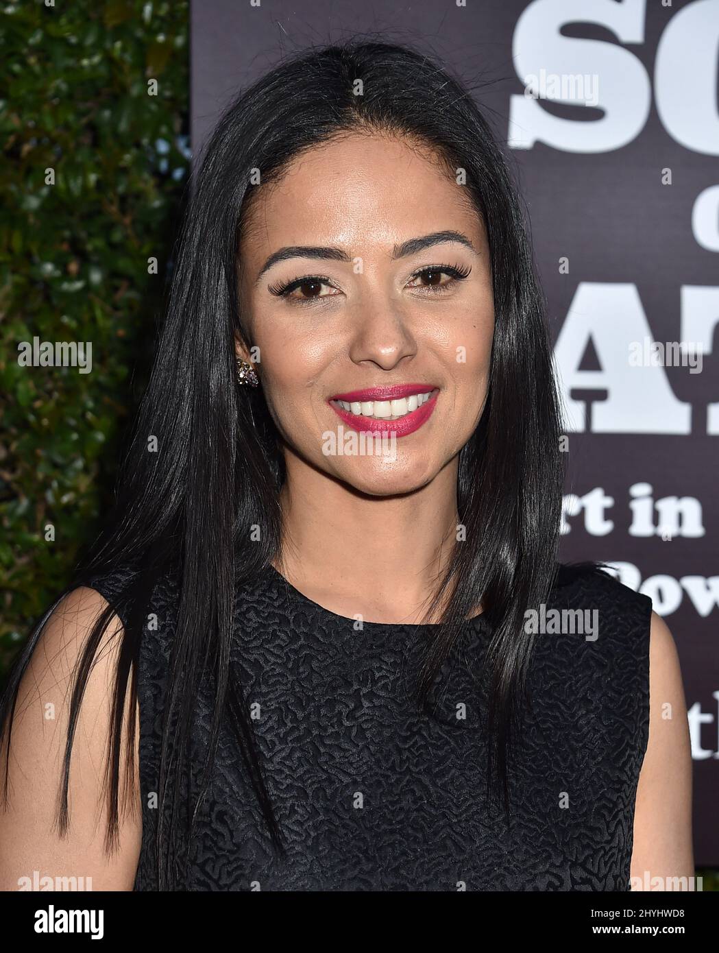 Meta Golding at 'Soul of a Nation: Art in the Age of Black Power 1963 ...