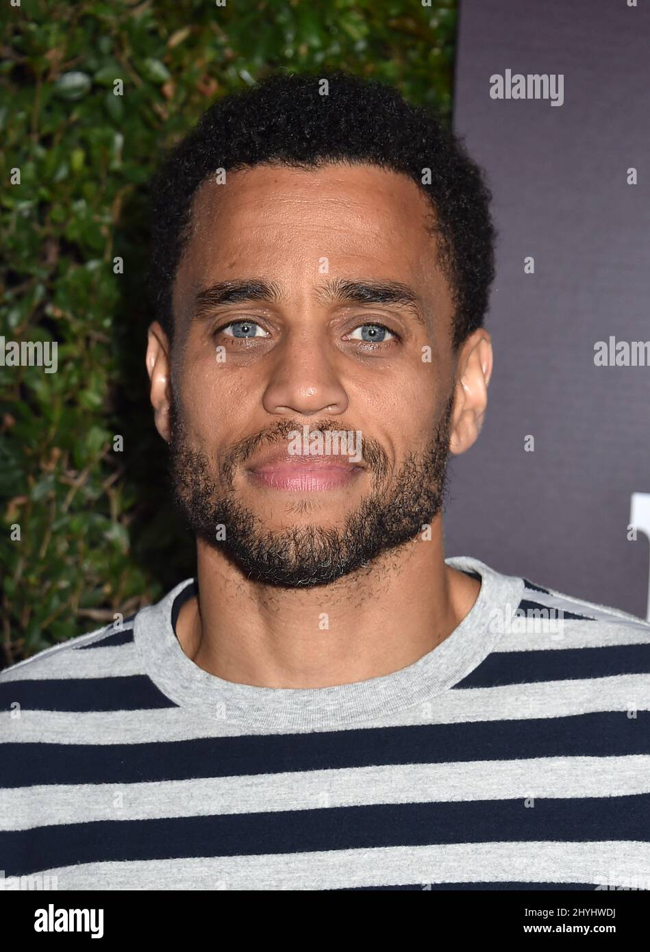 Michael Ealy at 'Soul of a Nation: Art in the Age of Black Power 1963 ...