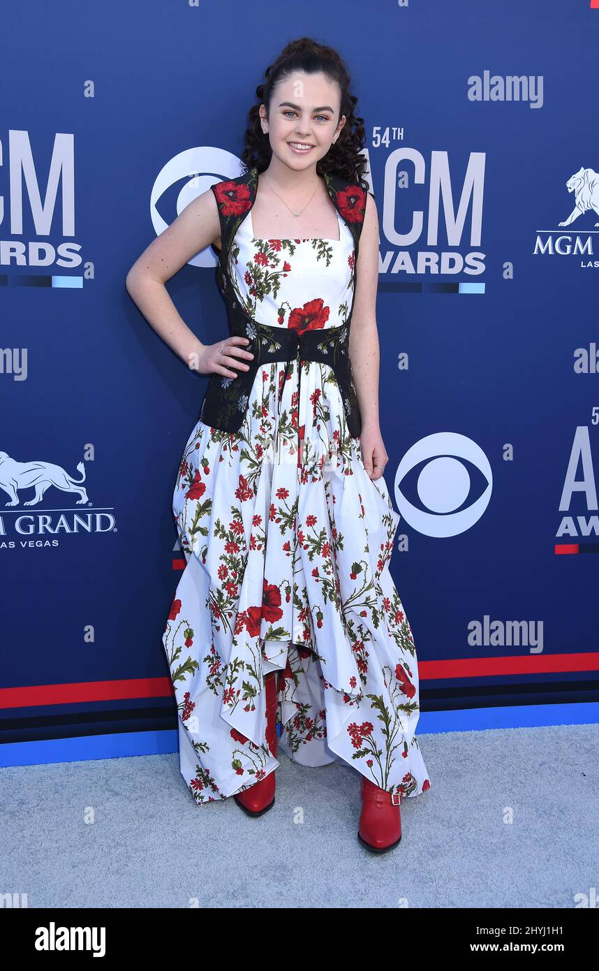 Chevel Shepherd at the 54th Academy of Country Music Awards held at the ...