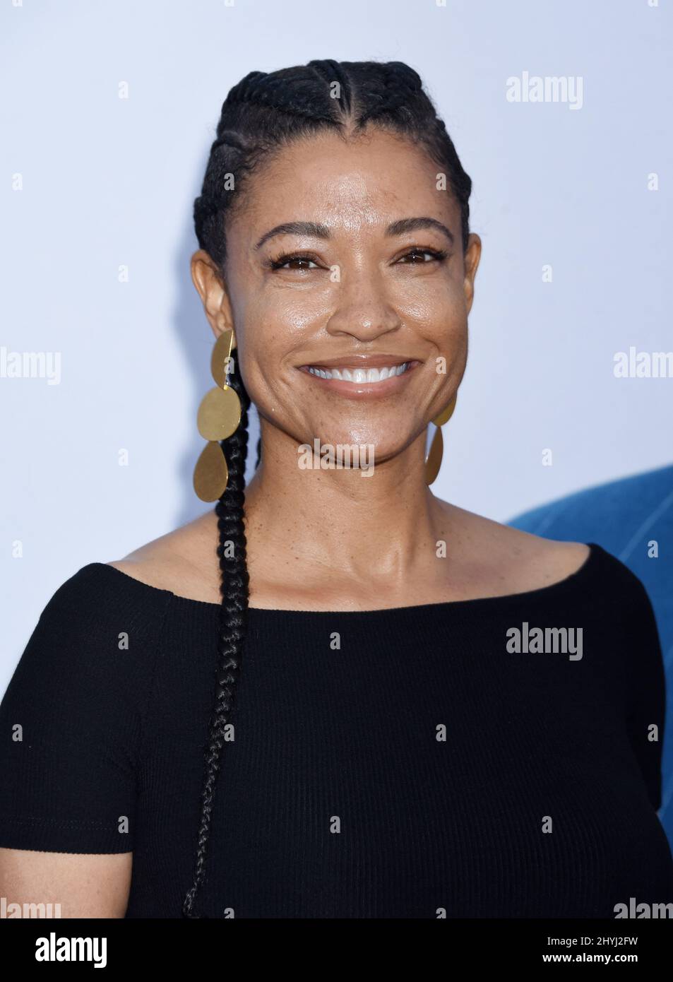 Tina Gordon attending the Los Angeles premiere of Little Stock Photo ...