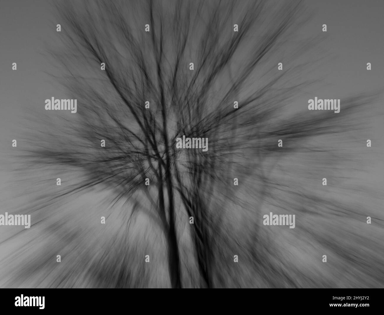 Exploded tree Black and White Stock Photos & Images - Alamy