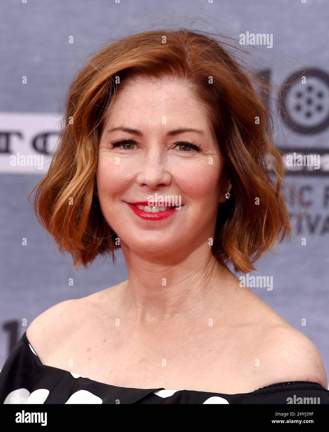Dana Delany attending the 30th anniversary screening of 'When Harry Met ...
