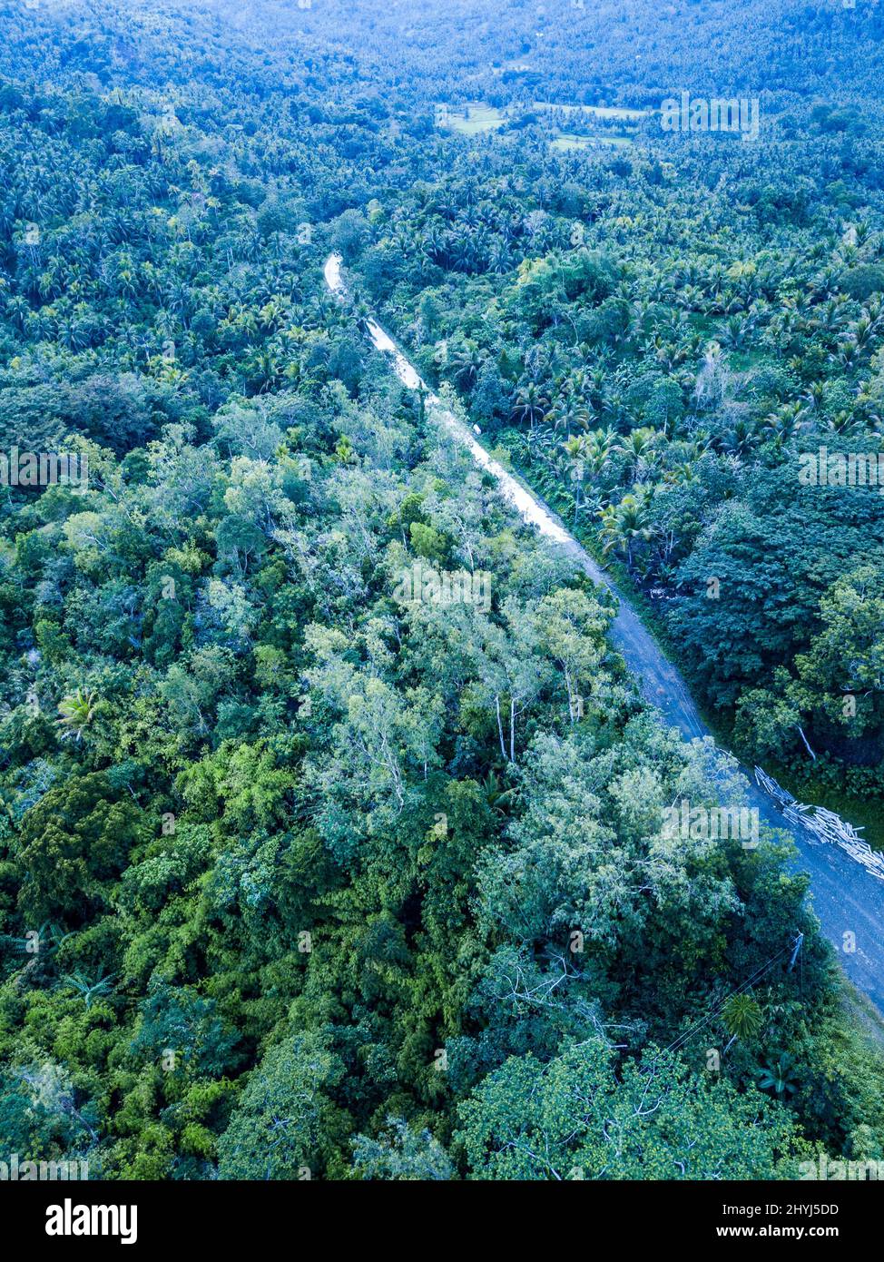 Beautiful high angle view of a river in the middle of the jungle ...