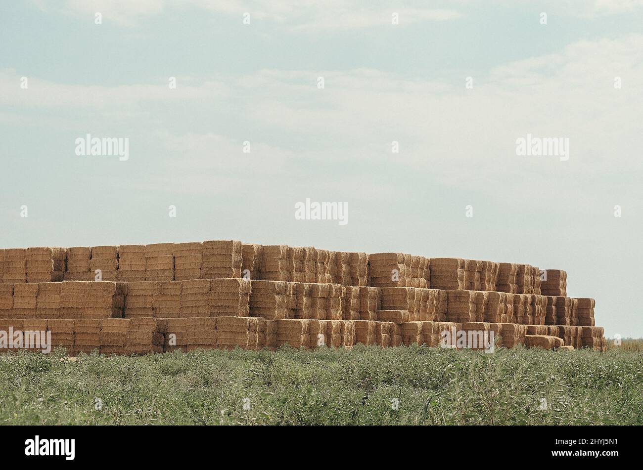 Stack of rectangular bales of dry straw under the October sky. Farmer's ...