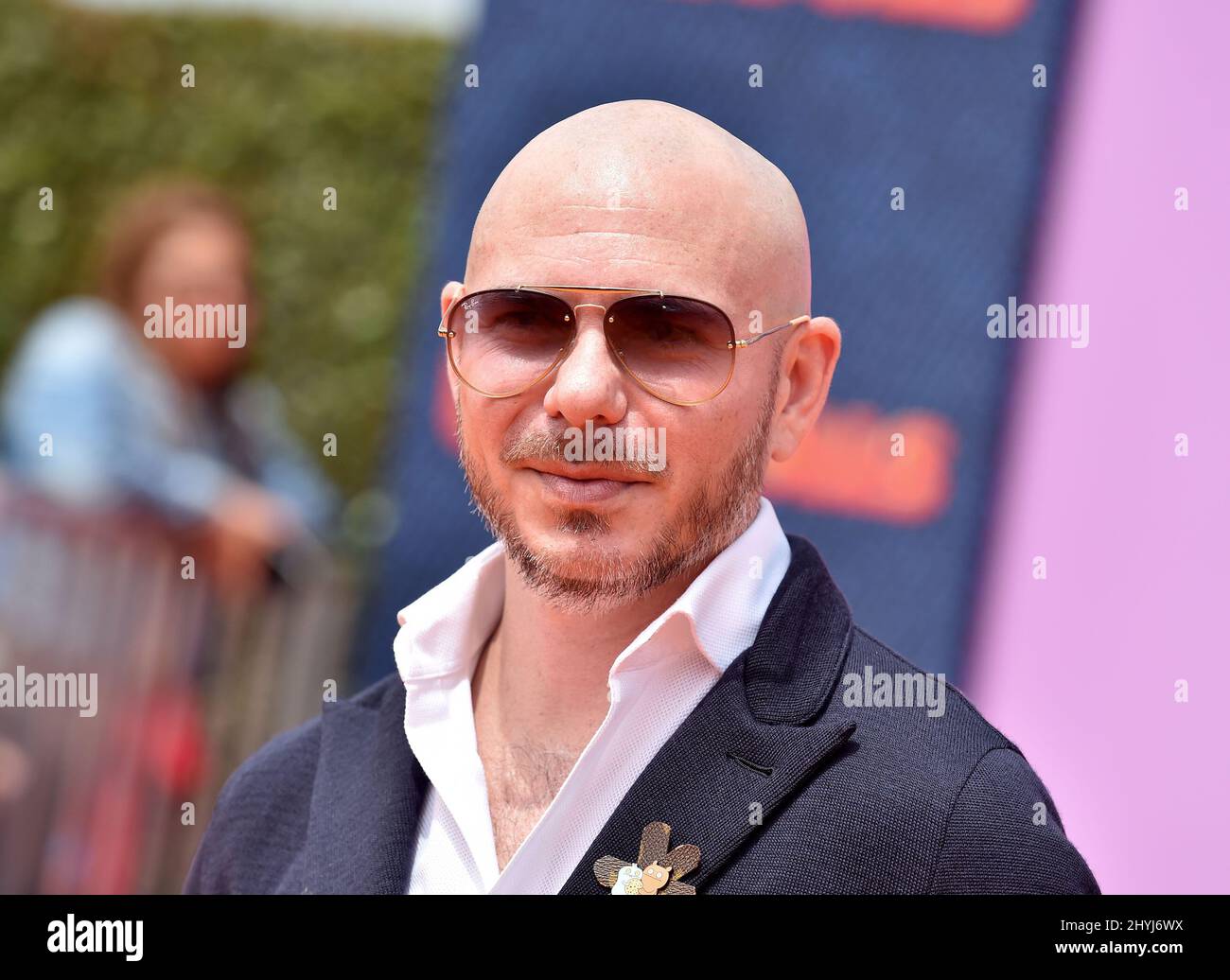 Pitbull Rapper Stencil