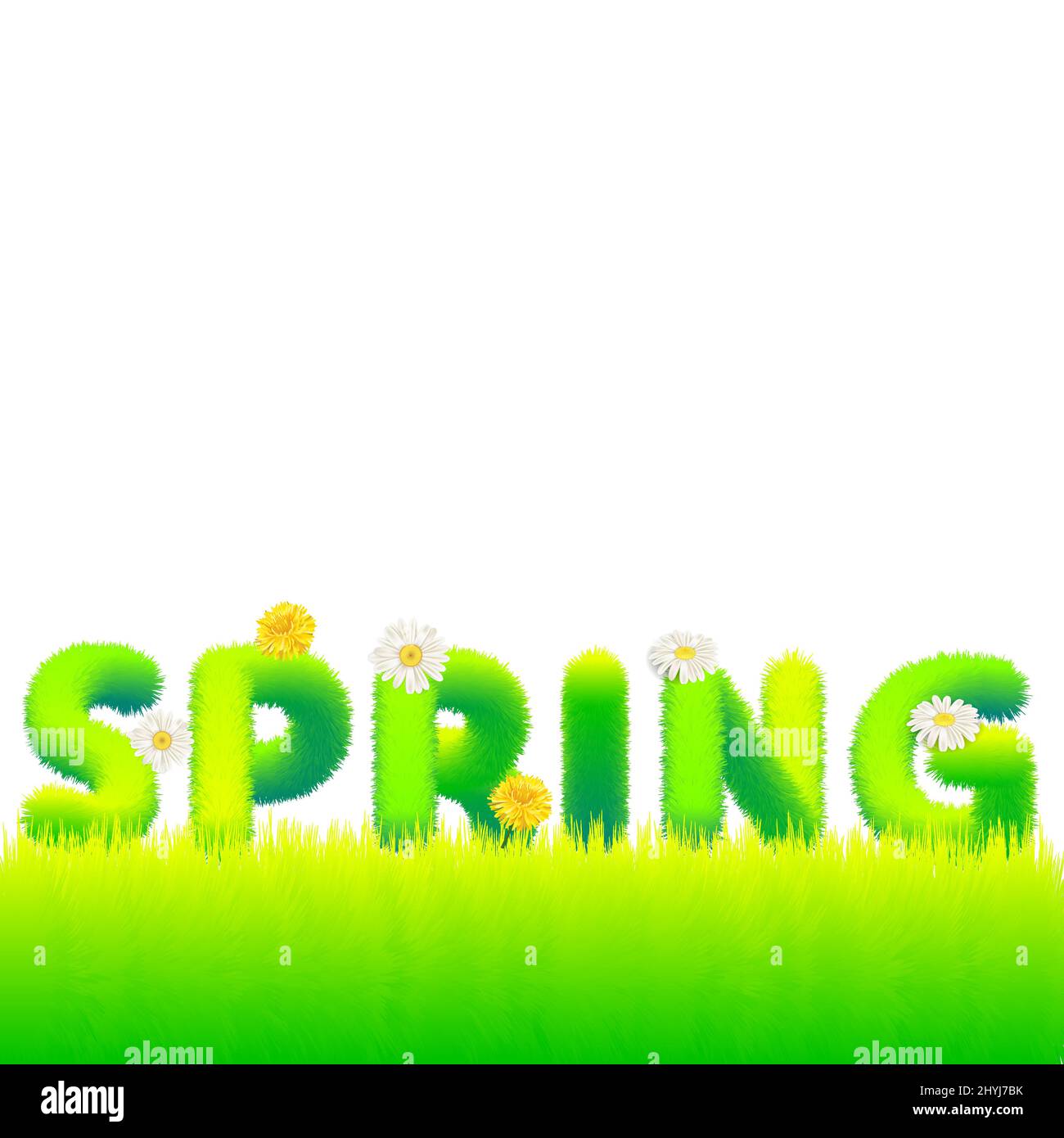 Word Spring made of fur, fluffy flowers daisies, dandelions. Typography ...