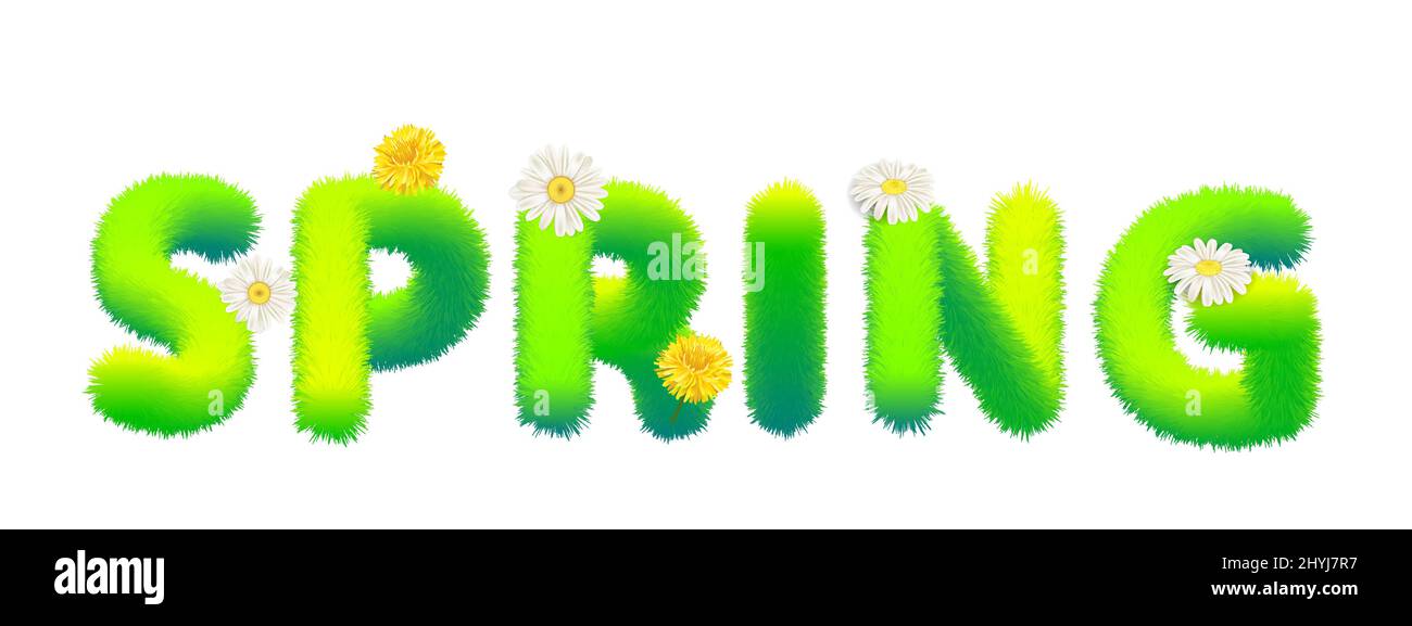 Word Spring made of fur, fluffy decoration, flowers daisey, dandelion ...