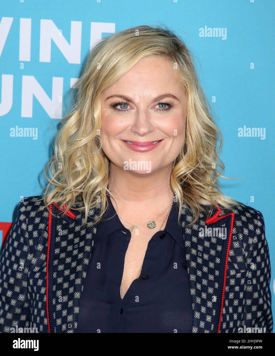 Amy Poehler attending the 'Wine Country' World Premiere held at The ...
