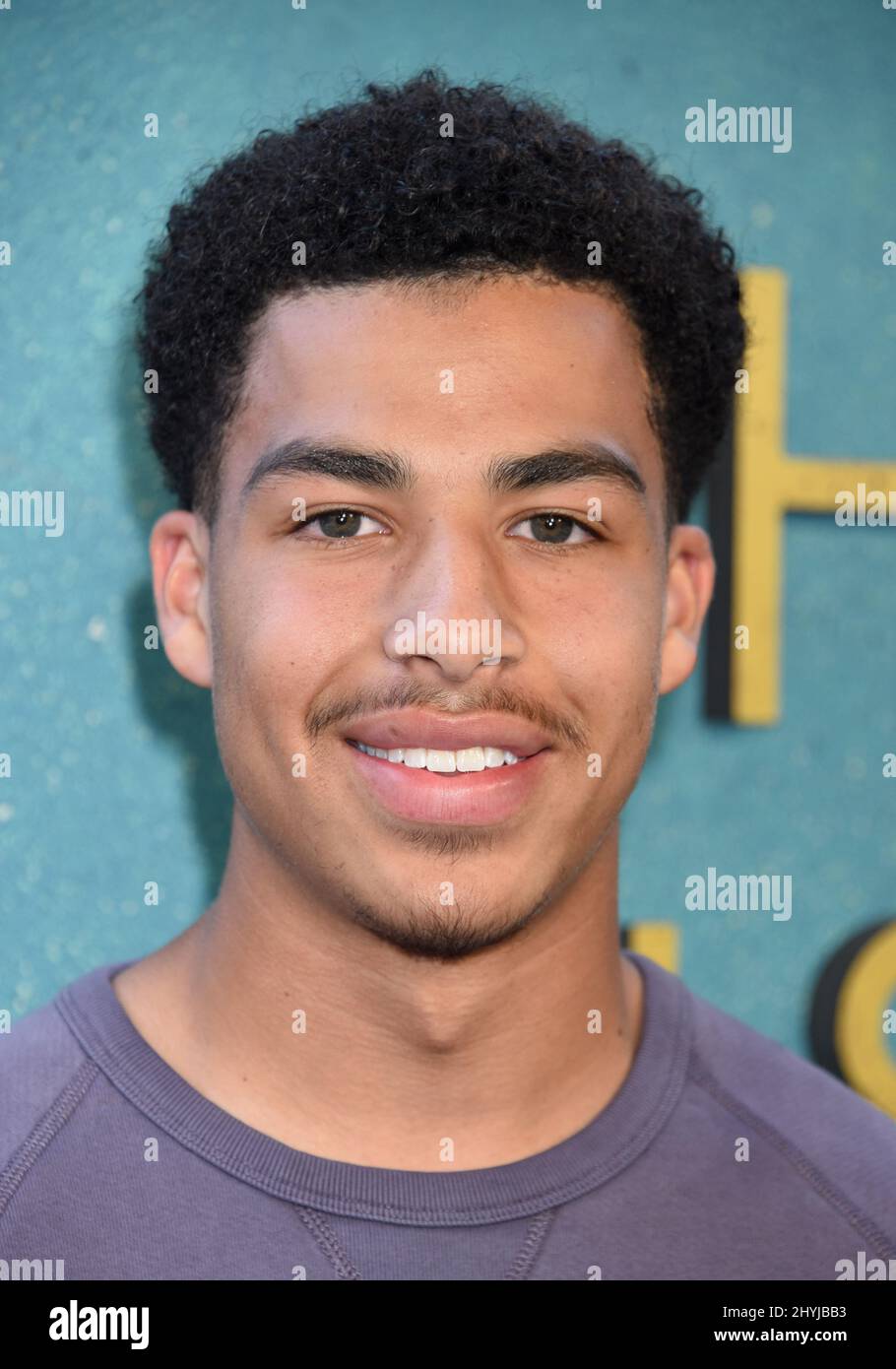 Marcus Scribner attending The Sun Is Also A Star World Premiere in Los ...
