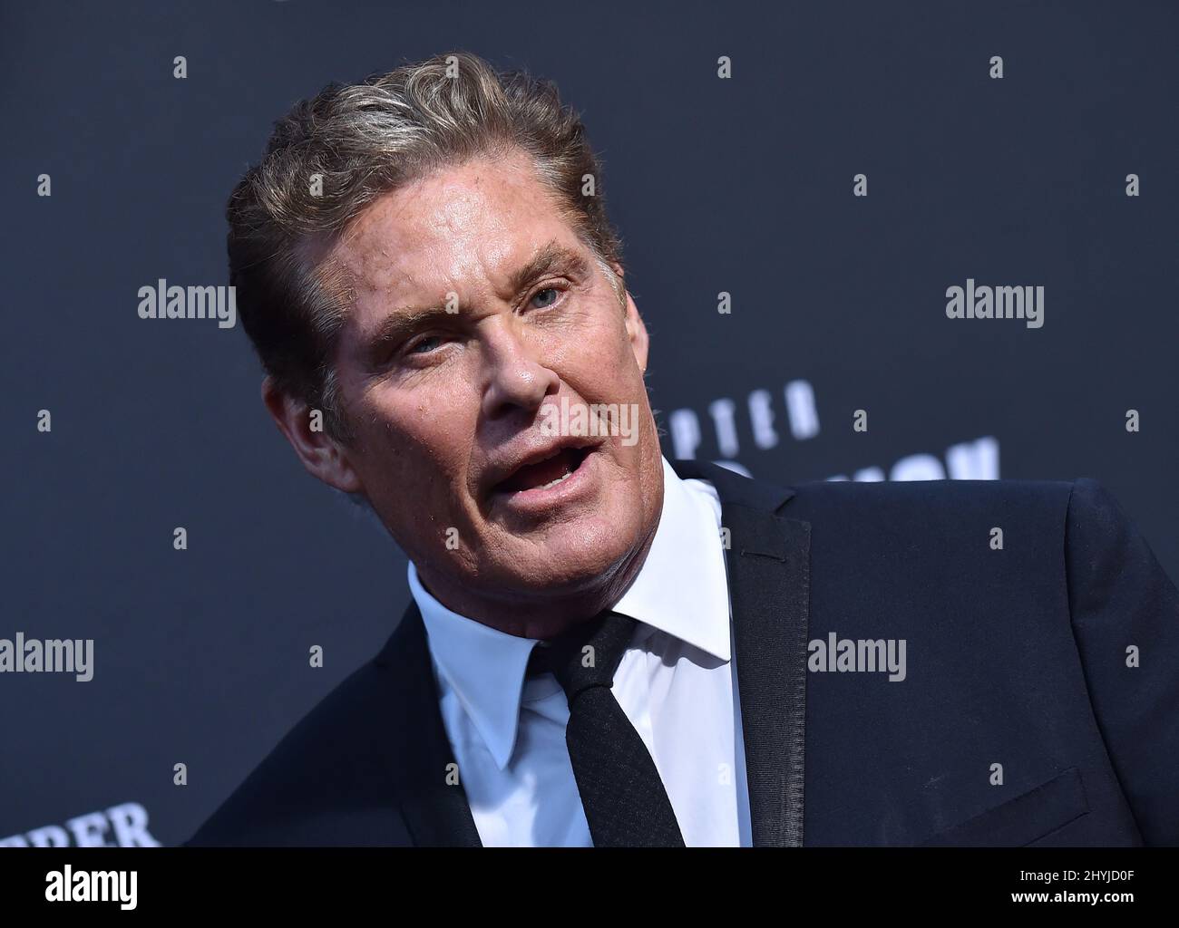 David Hasselhoff at the L.A. special screening of "John Wick: Chapter 3 ...