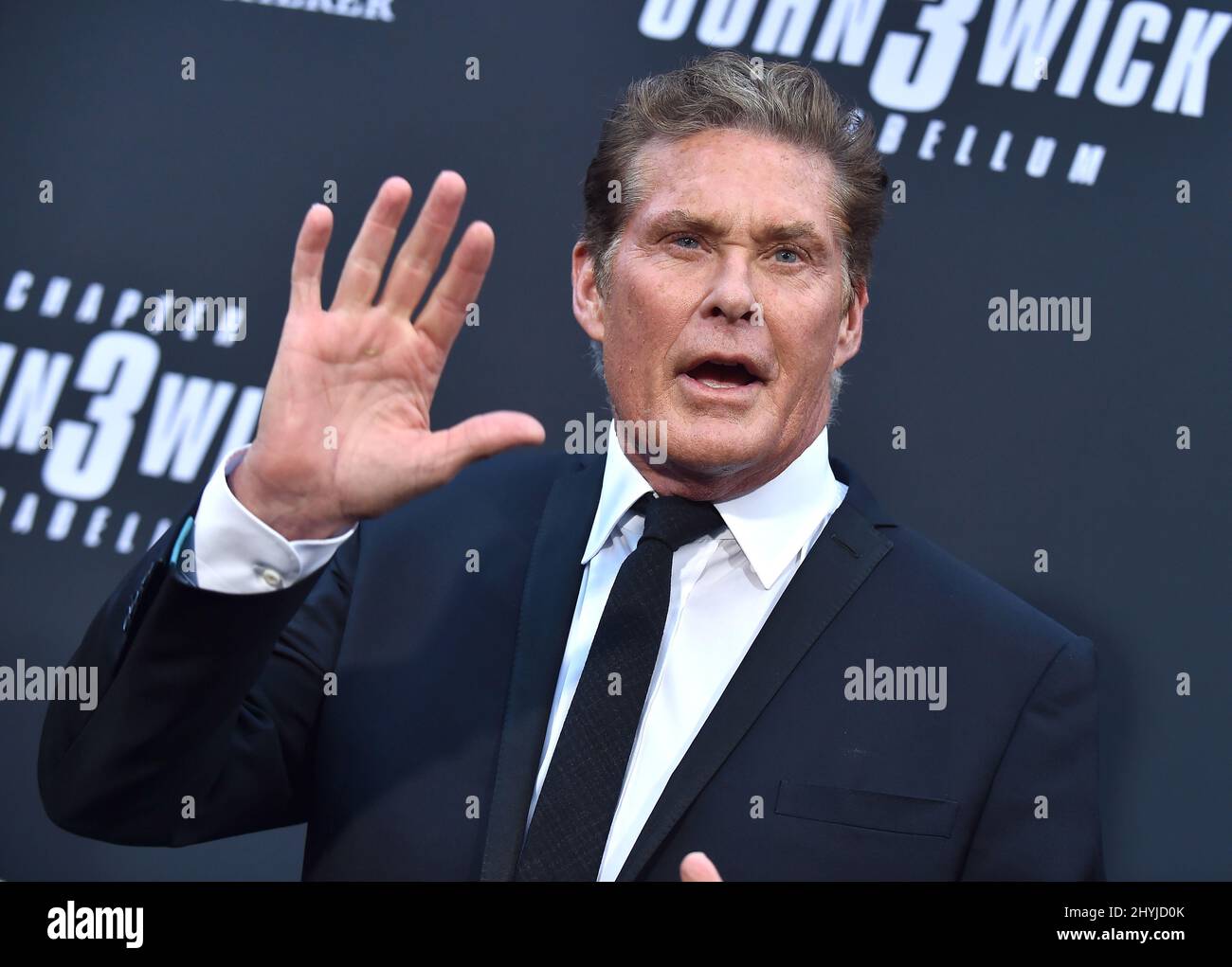 David Hasselhoff at the L.A. special screening of "John Wick: Chapter 3 ...