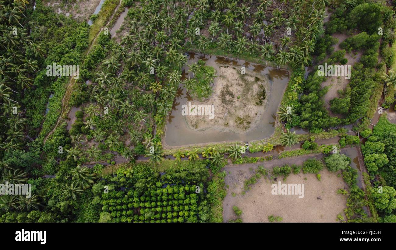 Aerial shot of the landscape of the East Kalimantan, Indonesia Stock ...