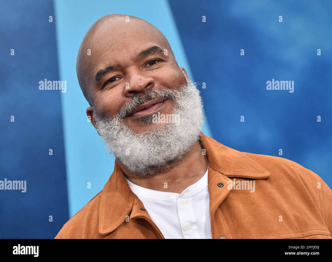 Maritza Rivera David Alan Grier