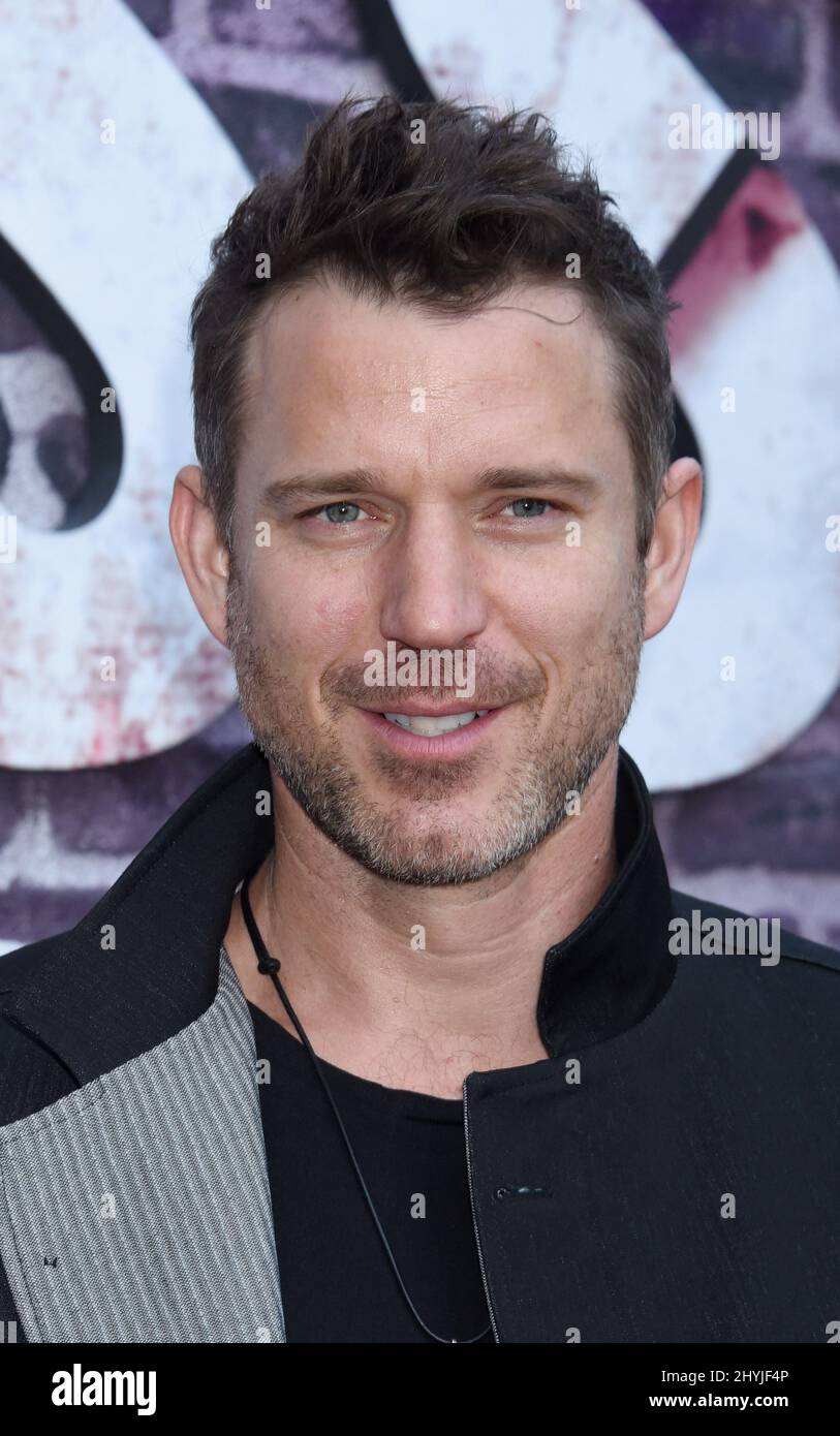 Wil traval hi-res stock photography and images - Alamy