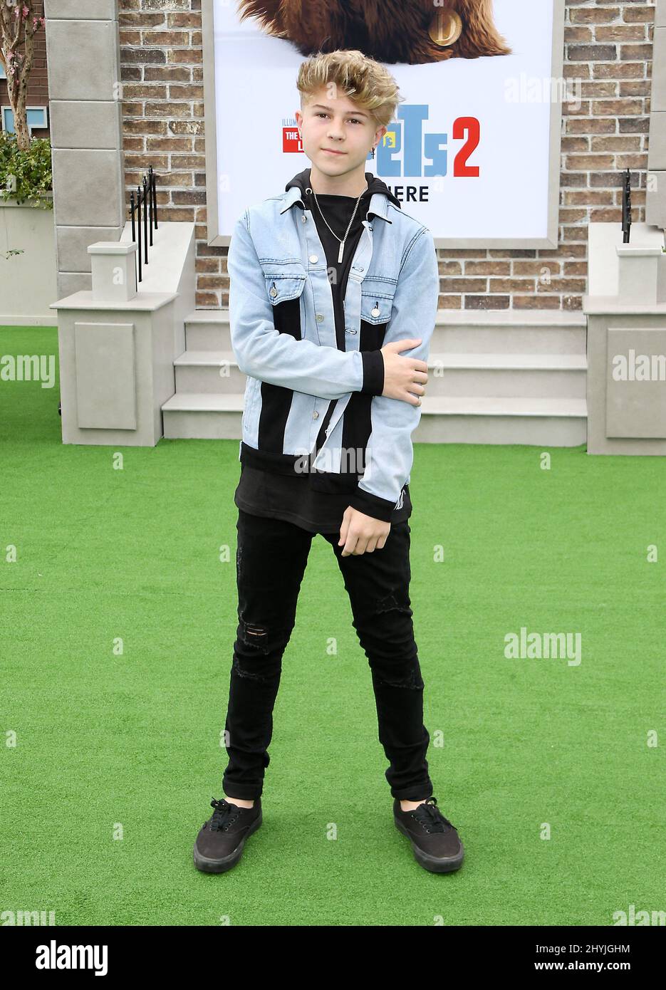 Dylan Hartman at 'The Secret Life of Pets 2' Los Angeles premiere held ...