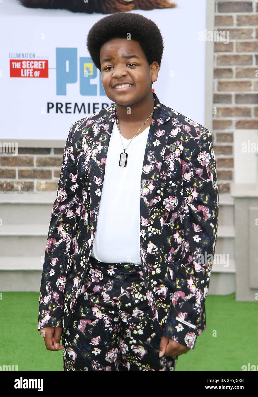 Keith L. Williams at 'The Secret Life of Pets 2' Los Angeles premiere ...