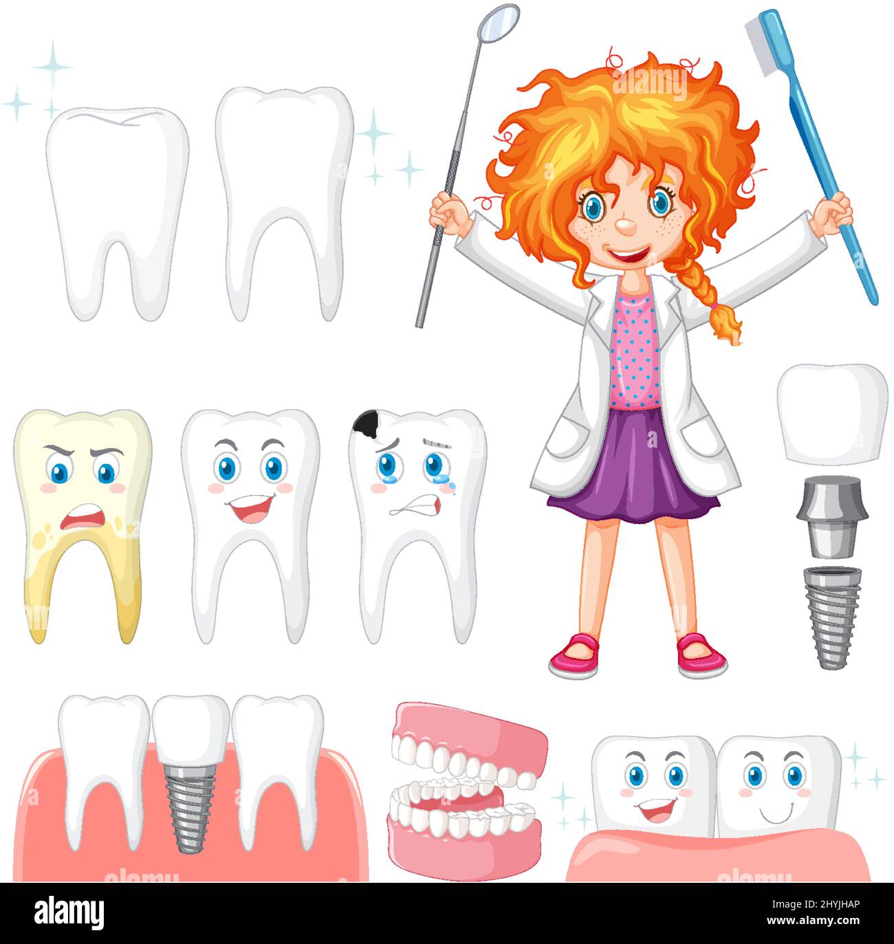 Set of all types of teeth on white background illustration Stock Vector ...