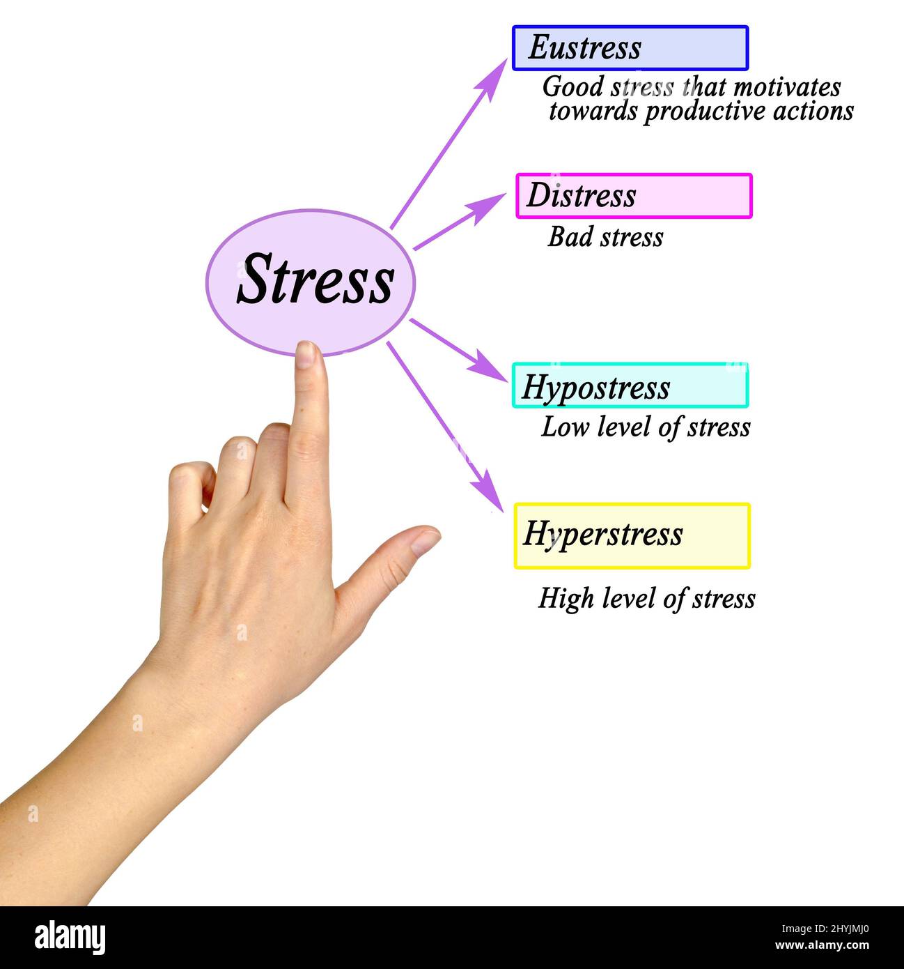 Presenting four kinds of stress Stock Photo - Alamy