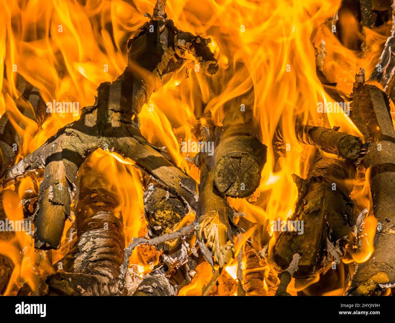 Beautiful orange fire, the flame of fire on wood, fireplace fiery close ...