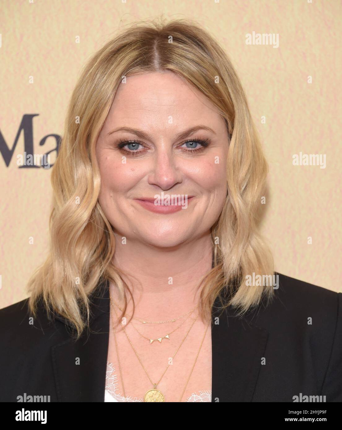Amy Poehler arriving to the 2019 Women In Film Annual Gala at Beverly ...