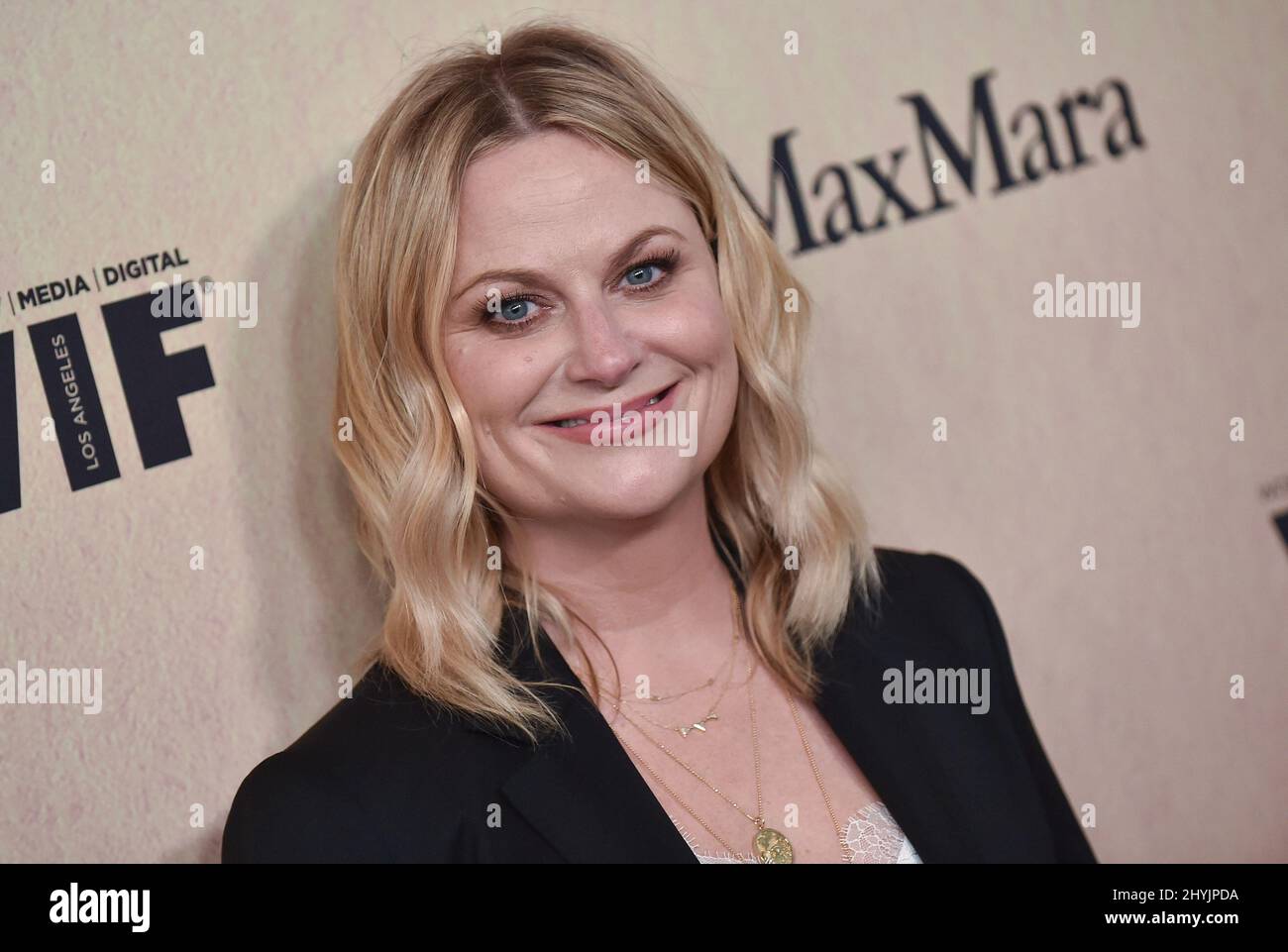 Amy Poehler arriving to the 2019 Women In Film Annual Gala at Beverly ...