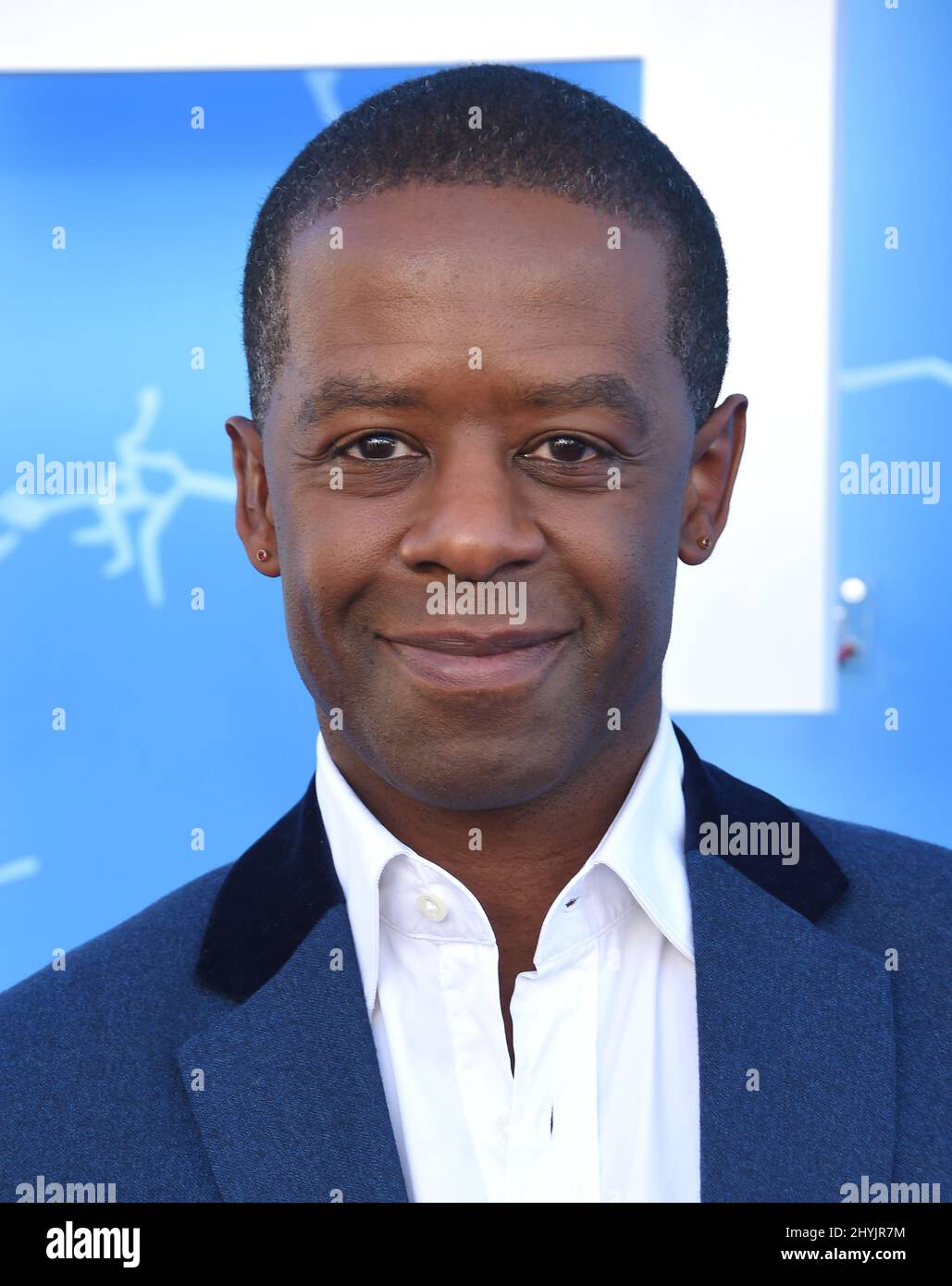 Adrian Lester arriving to the STARZ Los Angeles Premiere of 'The Rook ...