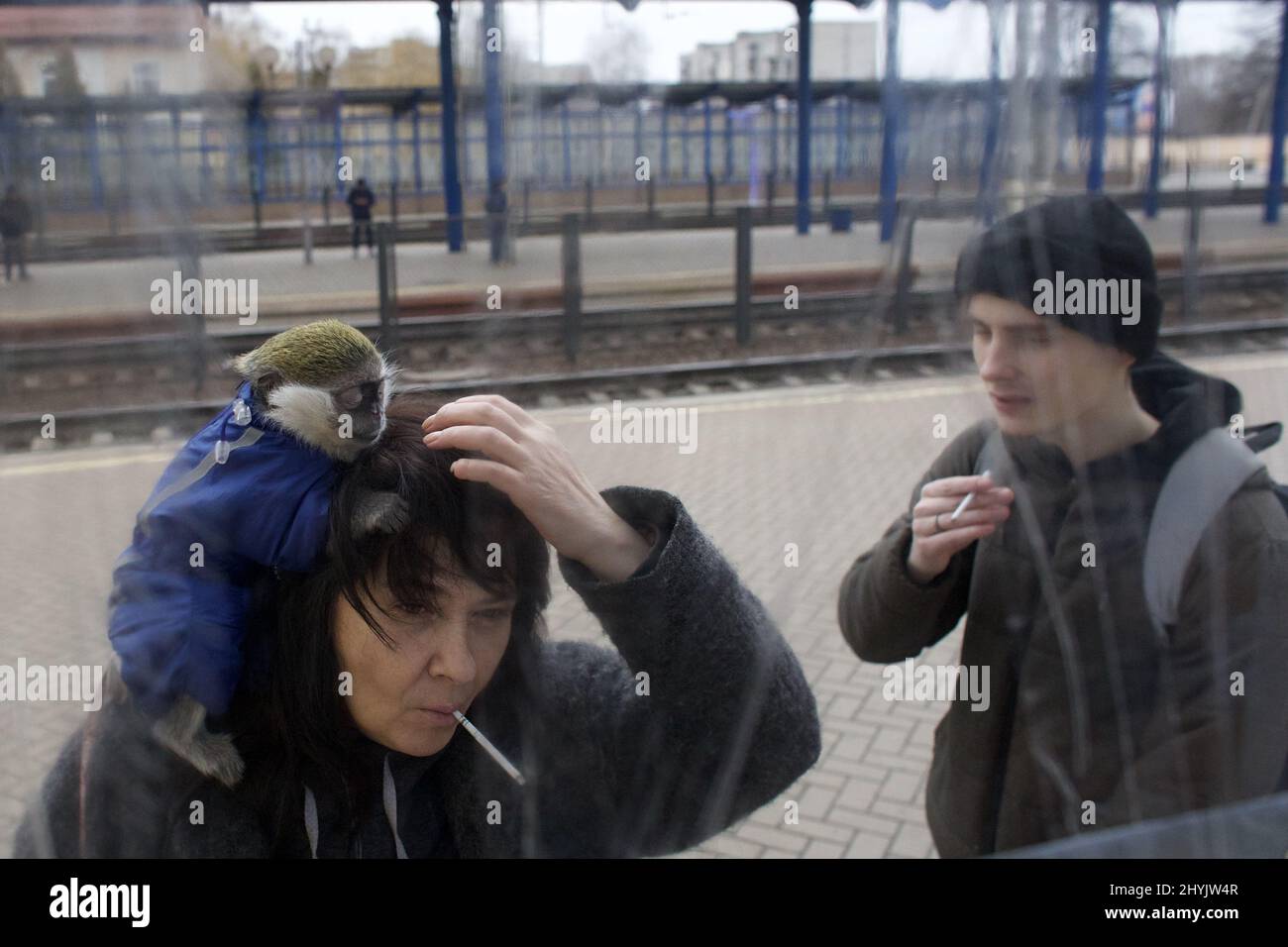 Vinnycja, Ukraine. A Woman carries a monkey on her back that she has ...