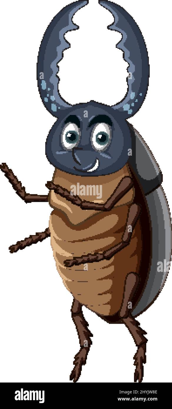 A beetle cartoon character isolated illustration Stock Vector Image ...