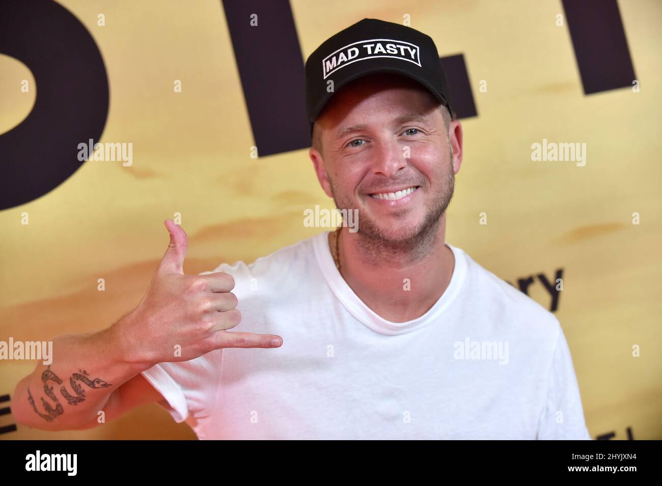 Ryan Tedder arriving to the Discovery Channel's 'Serengeti' Special ...