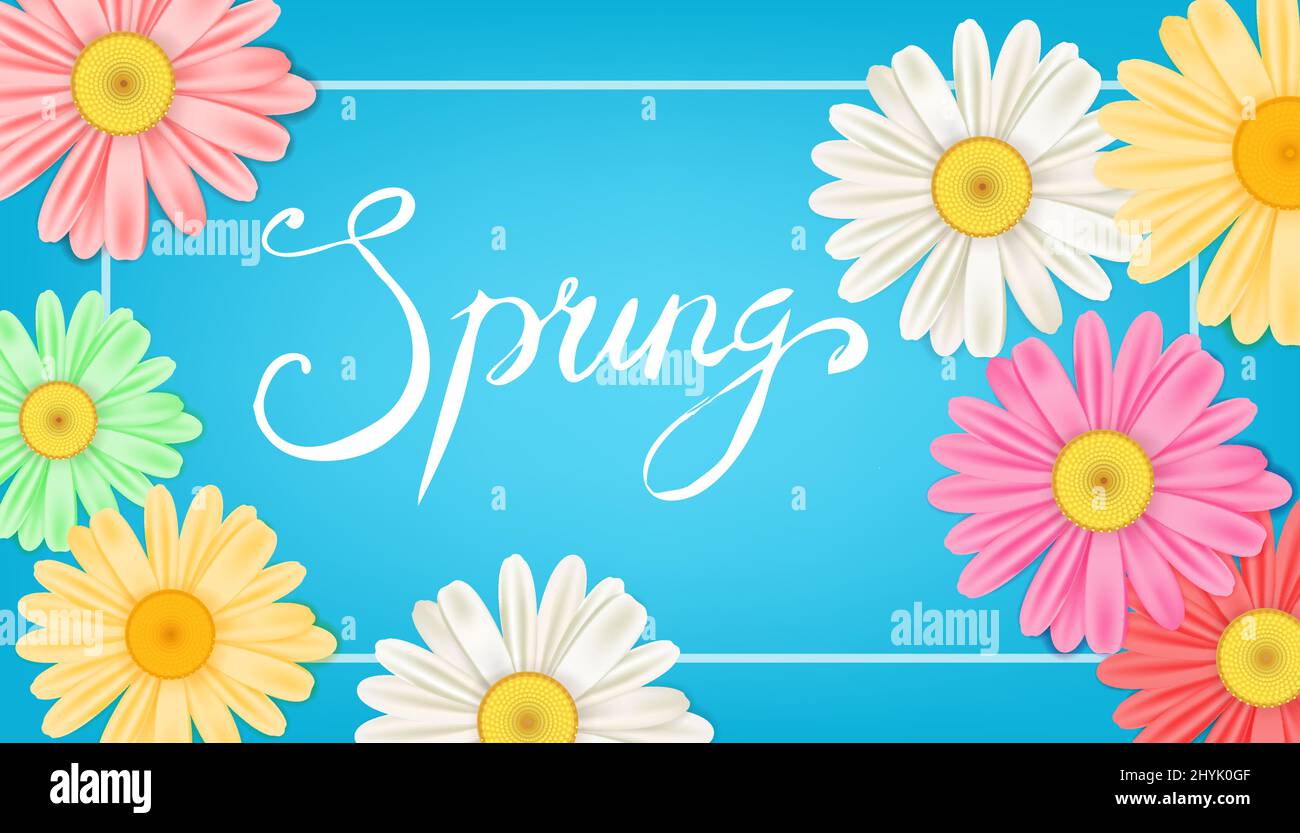 Spring banner. Hand drawn lettering. Background with chamomile, daisy ...