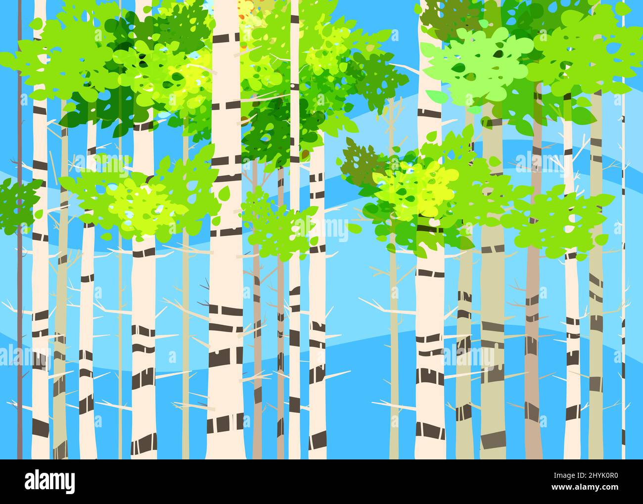 Beautiful Spring forest trees, green foliage, landscape, bushes ...