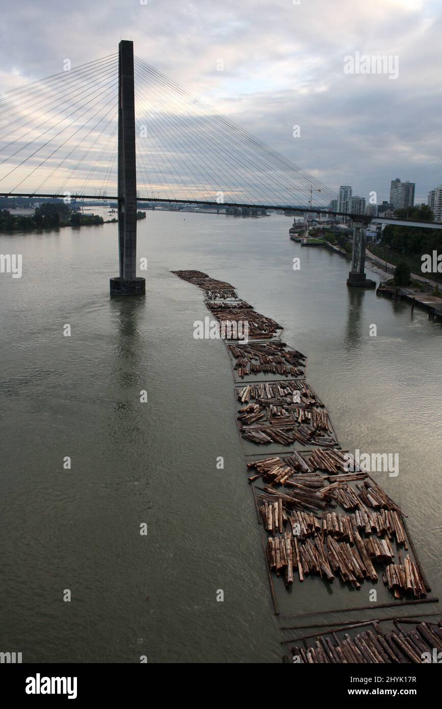 Logs in the Fraser River, near New Westminster, British Columbia ...