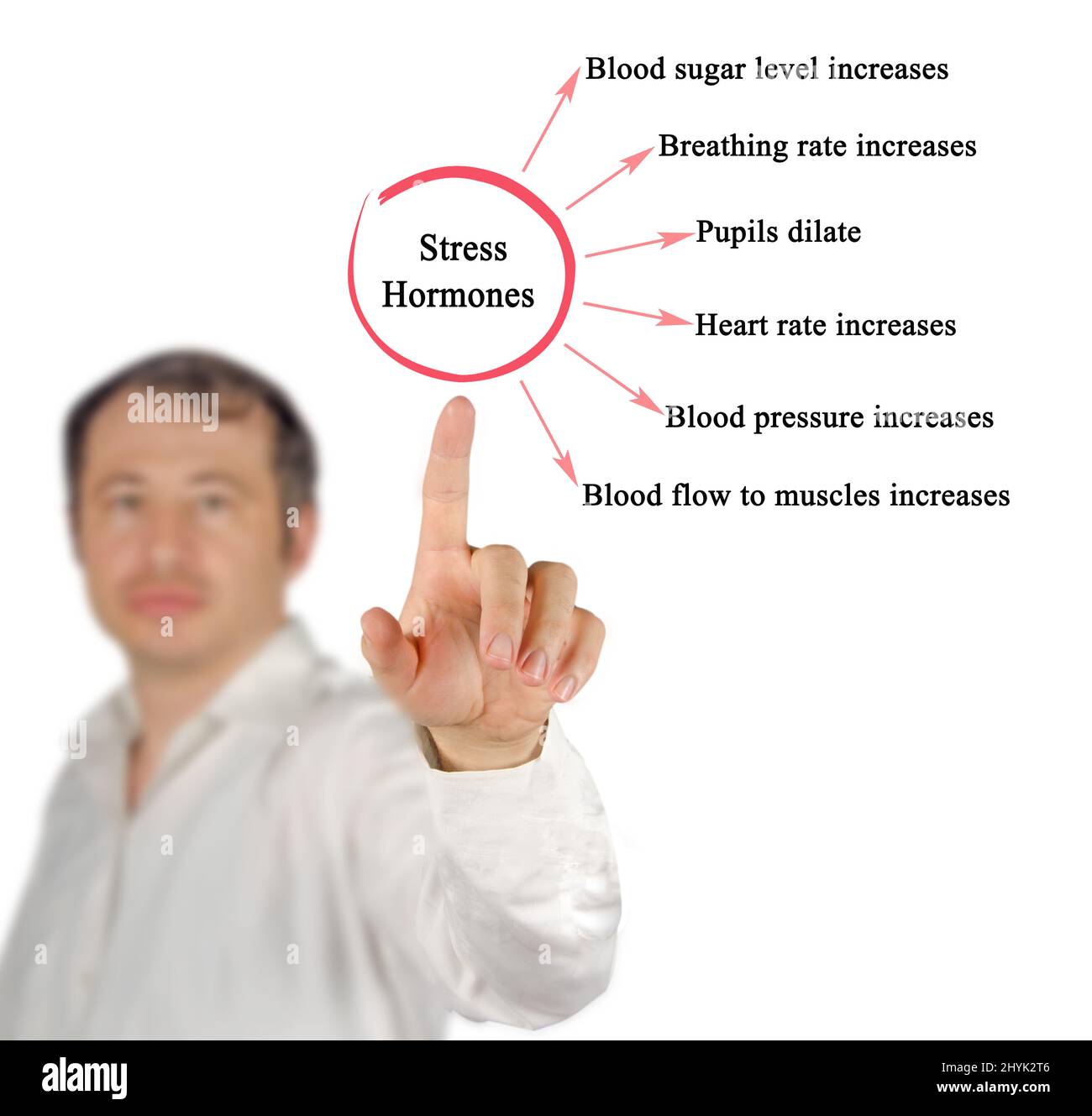 Six Effects of Stress Hormones Stock Photo - Alamy