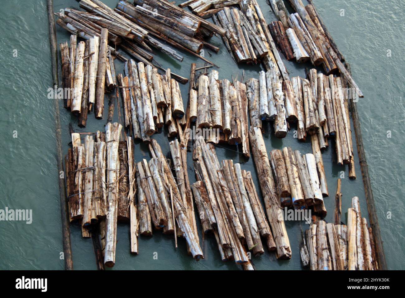 Closeup of wood stick stacks on the surface of the water Stock Photo ...