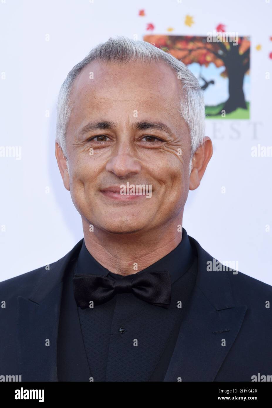Ali Afshar at the premiere of 'Bennett's War' held at the Steven J ...