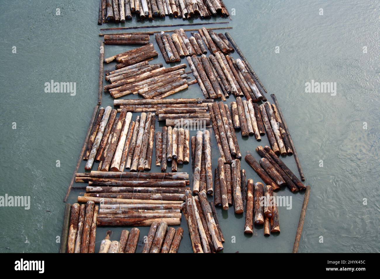 Closeup of wood sticks on the surface of the water Stock Photo - Alamy